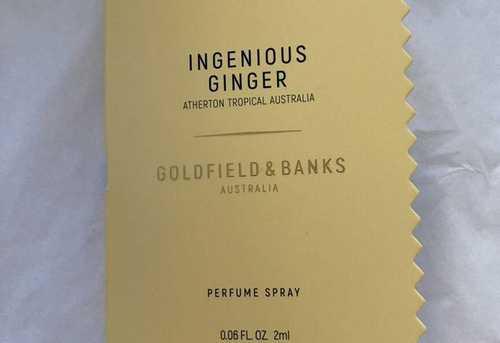 Goldfield banks ingenious ginger