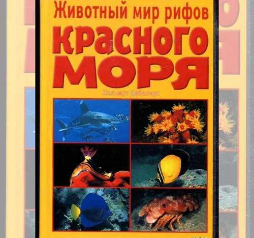 Животный мир рифов Красного моря