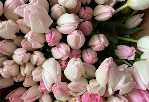 Тюльпаны к 8 марта, букет,цветы, праздник