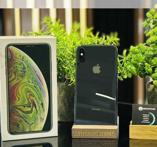 iPhone Xs Max, 256 ГБ