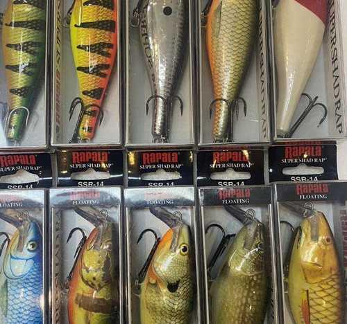 Rapala super shad RAP SSR14