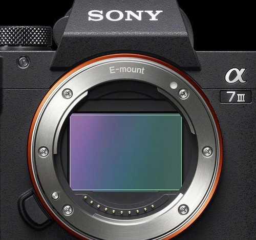 Sony Alpha 7 III Body