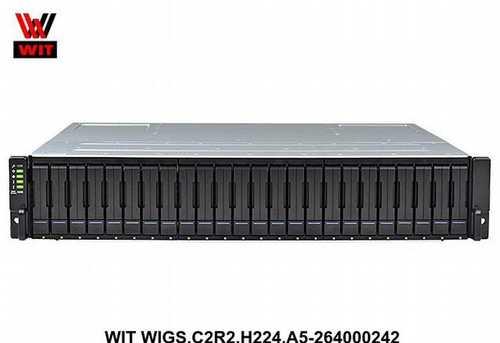 Система хранения данных WIT wigs.C2R2.H224.A5-2640
