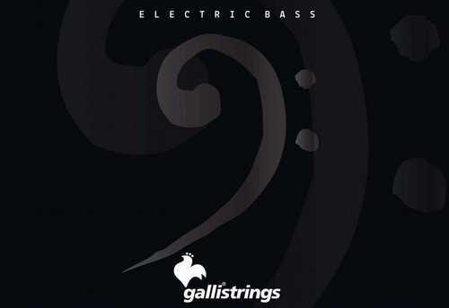 Струны для бас гитары Galli Strings BSN40100