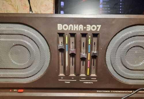 Волна 307