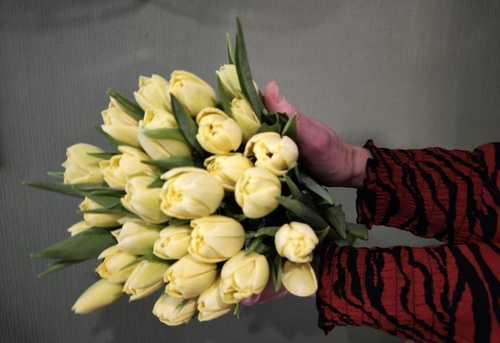 Букет желтых тюльпанов 25шт