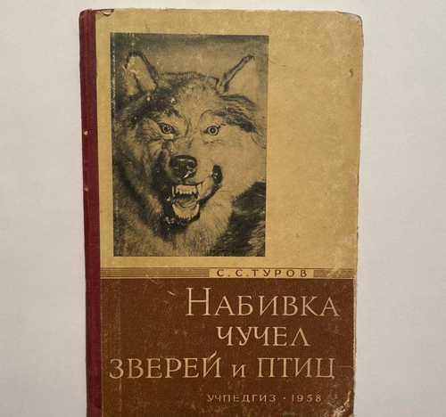 С.С. Туров. Набивка чучел зверей и птиц. 1958 г