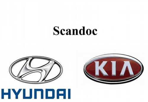 Пакет марок hyundai / KIA для Scandoc