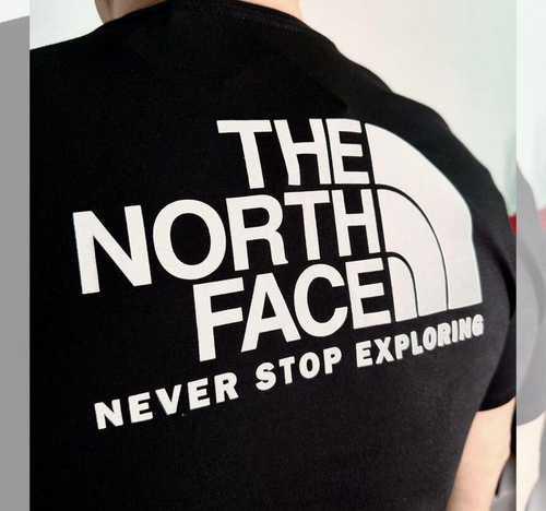 Футболка the north face мужская