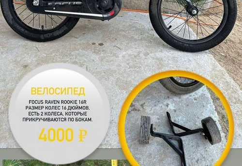 Велосипед детский focus raven rookie 16R