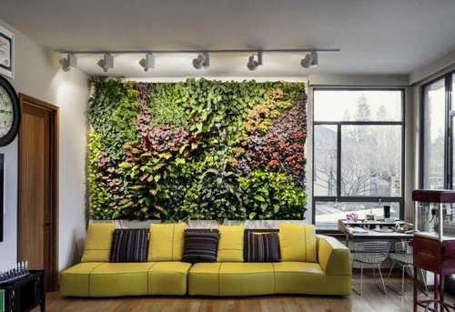 Природная свежесть: стены, наполненные растениями