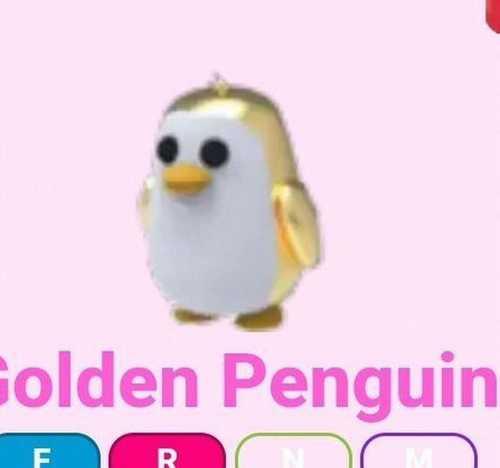 Golden penguin (FR)