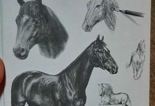 Книга Рисуем лошадей