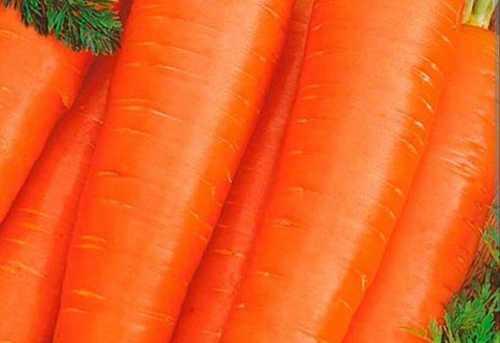 Морковь Бессерцевинная, среднеспелая, семена 40 шт