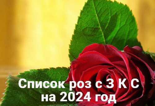 Розы З К С, 3 года, большой список на 2024 год