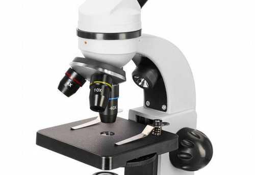 Микроскоп Levenhuk Discovery Nano Polar с книгой