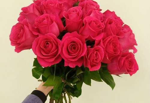 Розы поштучно Роза Pink floyd (Пинк Флойд)