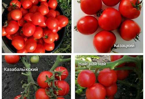 Семена томатов ч.5 для о/г