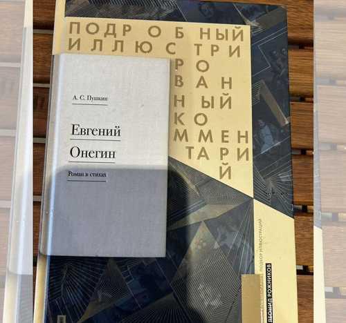 Евгений онегин книга