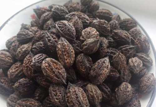 Семена маньчжурского ореха (ок. 150 шт)