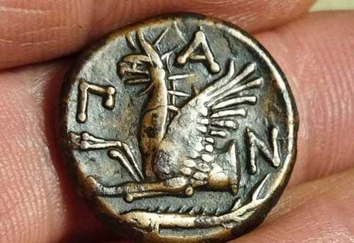 Античная монета.Тетрахалк. Пантикапей