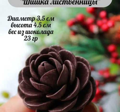 Молд шишка