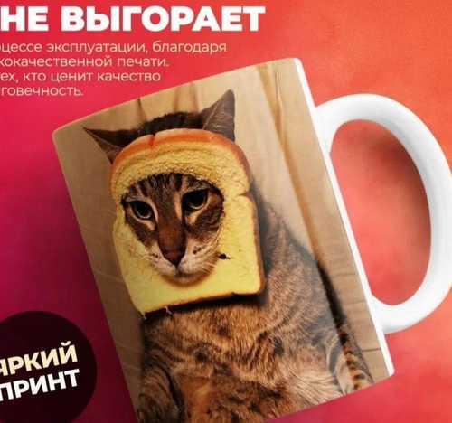 Кружка с котом