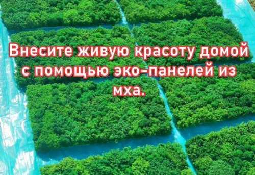 Внесите живую красоту домой с помощью эко-панелей