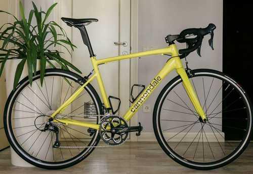 Cannondale caad Optimo 3 2021