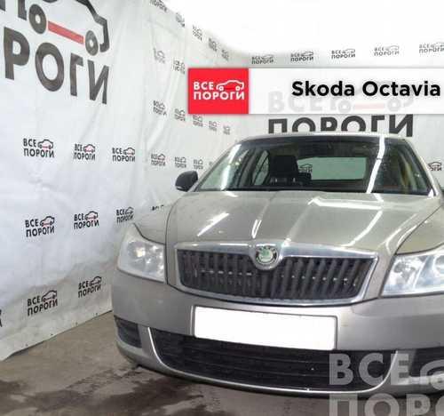 Пороги Skoda Octavia 2 (A5) под заказ