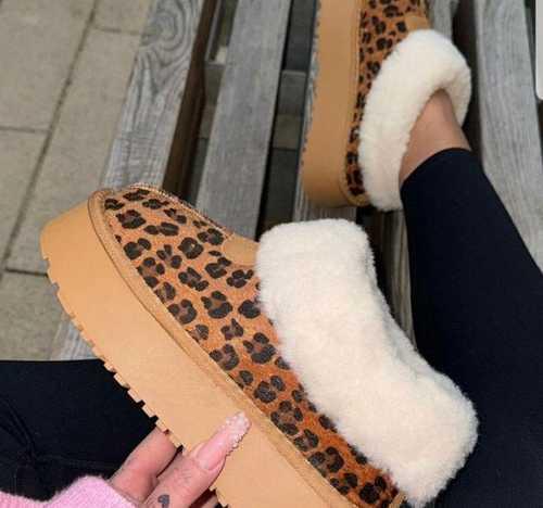 Сапоги женские ugg