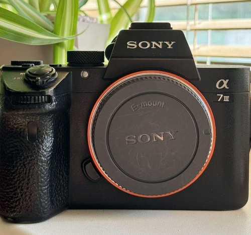 Sony a7iii