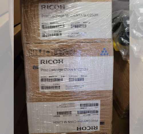 Ricon mc250h