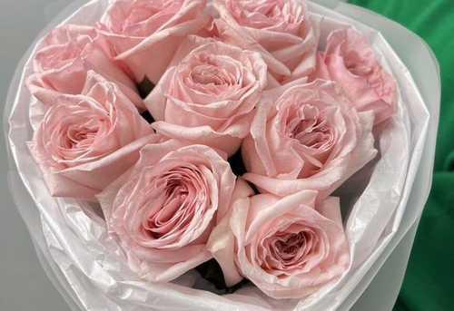 Розовая пионовидная ароматная роза Охара доставка