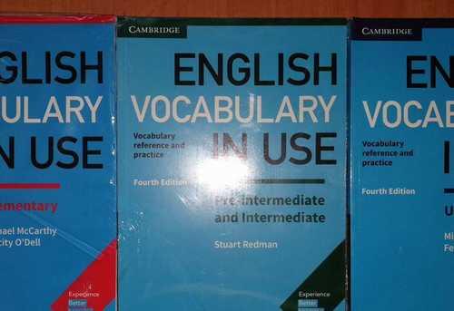 English Vocabulary in Use новые, большой формат