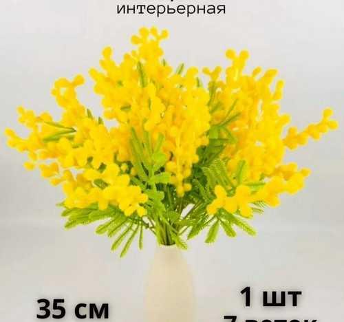 Мимоза искусственная