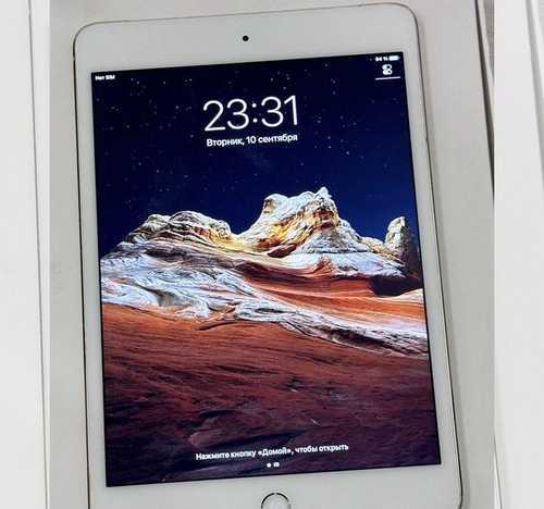 iPad mini 4 64gb wifi lte