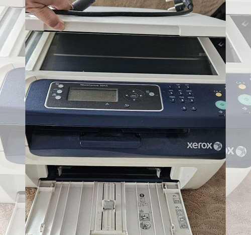 Принтер мфу xerox