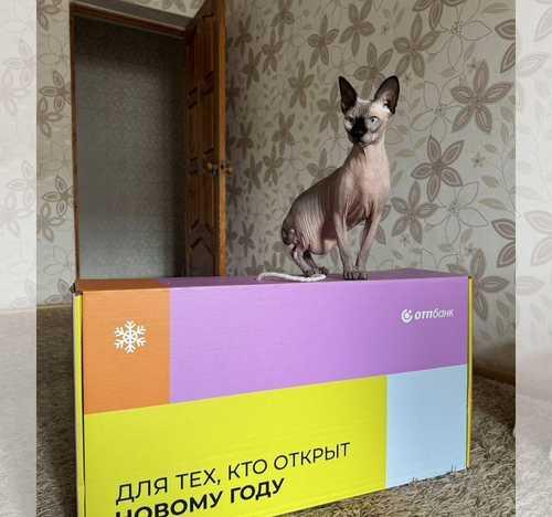 Балансировочная доска
