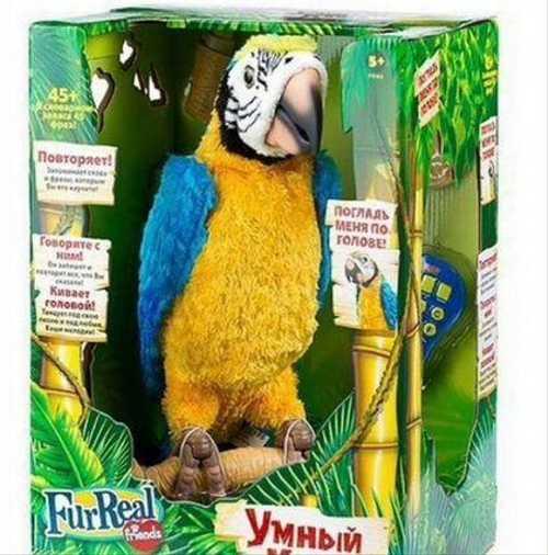Интерактивный попугай умный кеша