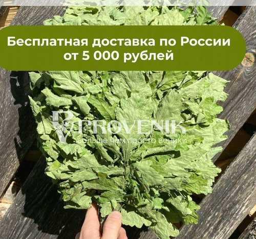 Веники для бани можжевеловые, дубовые, березовые