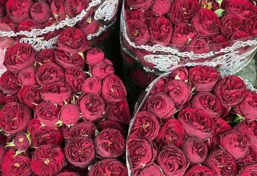 Кустовые пионовидные розы букет