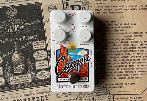 Electro Harmonix Canyon delay / looper