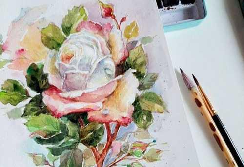 Картина акварелью " Роза цветёт"
