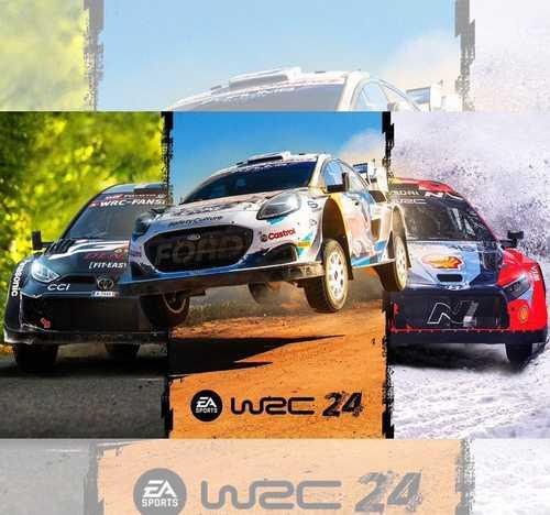 EA sports WRC 24