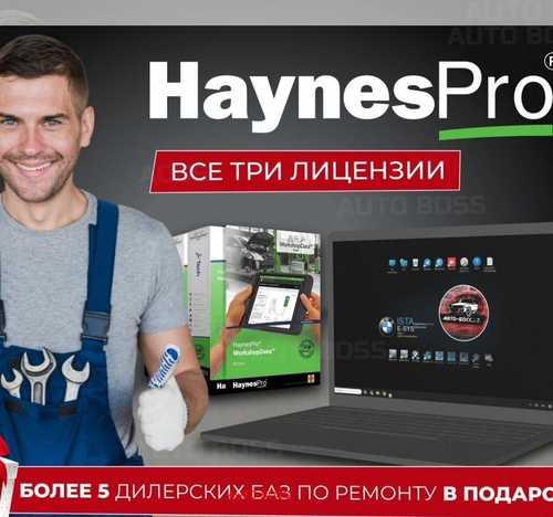 HaynesPro v2025   Автодата онлайн