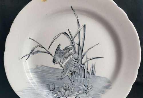 Тарелка старинная птицы кувшинка Гарднер 19 век