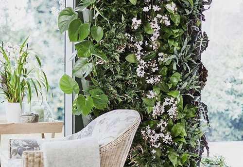 Идеальный зеленый акцент: стены из растений. Арт: