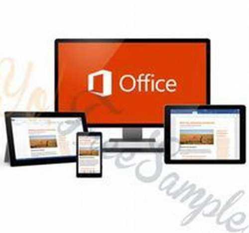 Microsoft Office (Pro +)