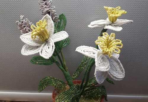 Цветы из бисера Нарцисс
